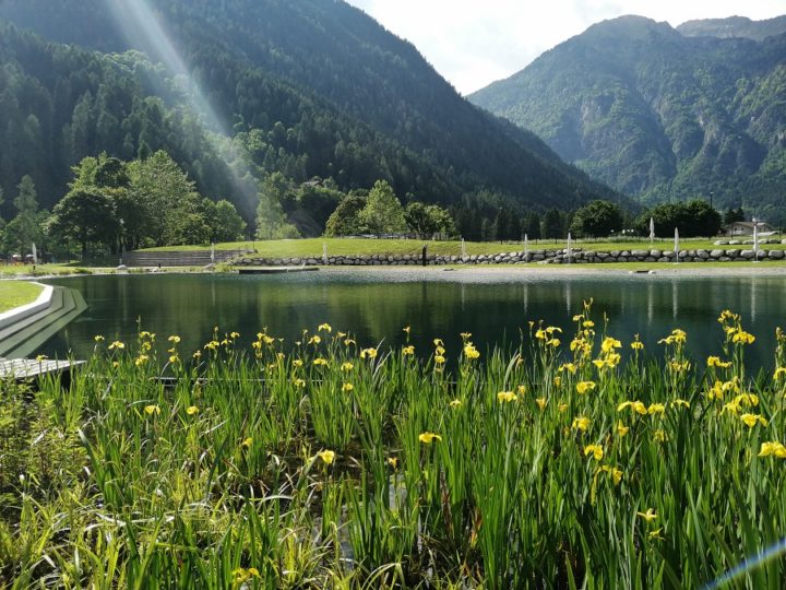 Da sabato 12 giugno riapre il Biolago di Pinzolo - Campane di Pinzolo.it